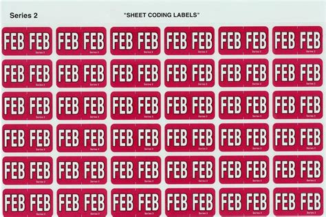 Avery 43402 Colour Coding Label February Pack 180 19002796 9313596434021