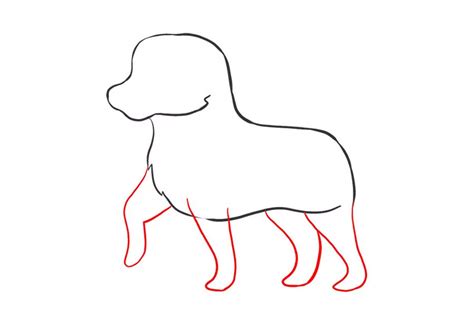 آموزش نقاشی سگ هاسکی کودکانه و فانتزی به صورت مرحله به مرحله