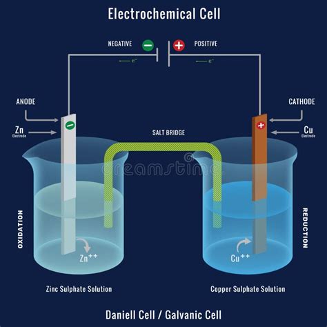 Electrochemical Cell Or Galvanic Cell The Daniell Cell Stock Vector