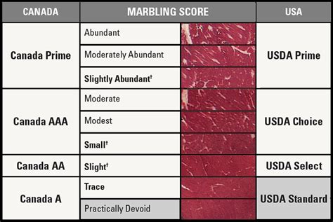 Beef Grading Scale
