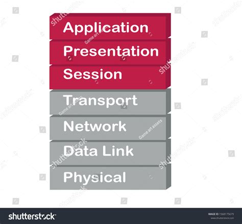 295 Modelo Osi Images Stock Photos Vectors Shutterstock