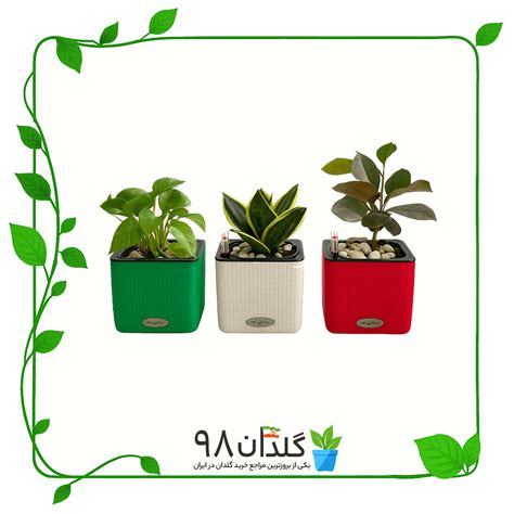 خرید و قیمت گلدان گلدان 98