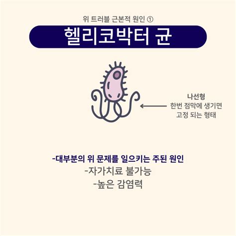 속 쓰릴 때 위에 도움되는 영양제 맞춤영양제 필리
