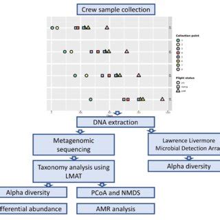 Overall Experimental And Data Analysis Workflow And Sample Collection Download Scientific