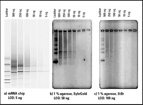 Figure 1 From Comparing Performance Of The Agilent 2100 Bioanalyzer To