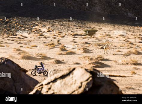 26 Dabrowski Konrad Pol Duust Rally Team Husqvarna Moto Fim W2rc Action During The Stage