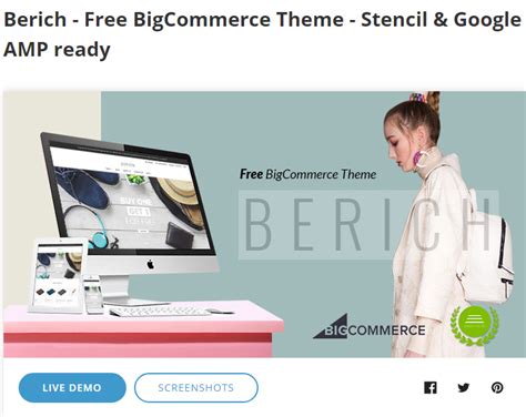 Setting Up Stencil Theme With Bigcommerce Theme Development Bonzer Technologies Pvt Ltd