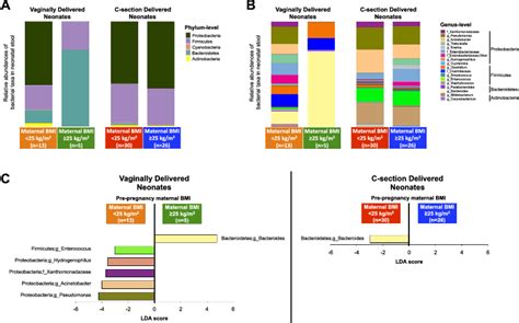 Differences In Relative Abundance Of Bacterial Taxa In Neonatal Feces