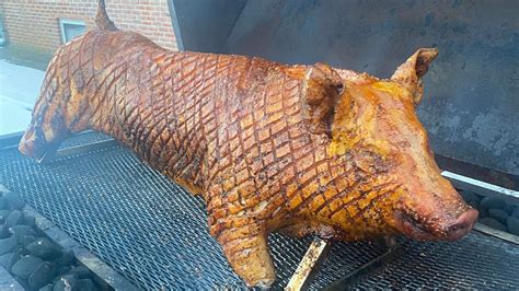 Barbecue Party Shellfish Festival Destination Limfjorden