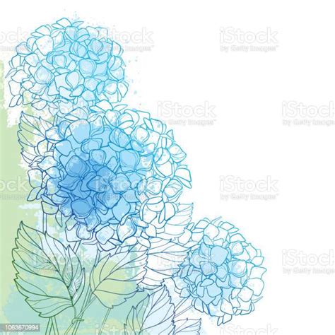 개요 수 국 또는 다 꽃 무리와 블루와 그린은 파스텔에 화려한 단풍의 벡터 코너 꽃다발 배경 질감 수국에 대한 스톡 벡터 아트