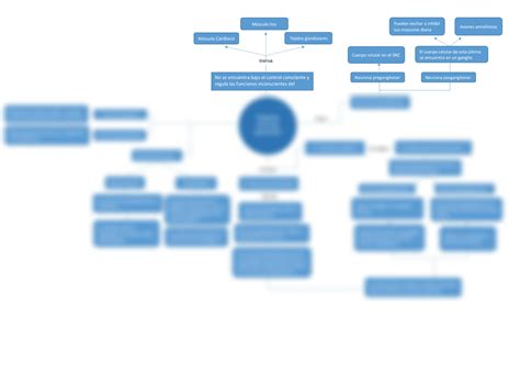 Solution Sistema Nervioso Aut Nomo Studypool