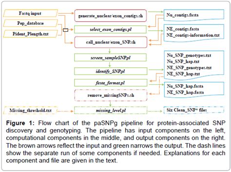 Proteomics Bioinformatics Pipeline Protein Genotyping