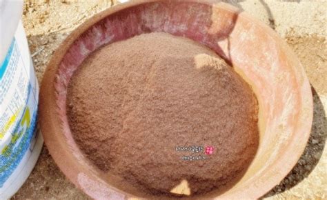 커피찌꺼기 버리지 마세요커피찌꺼기 활용법 꿀팁 14가지 네이버 블로그
