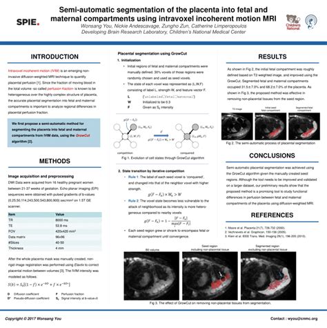 Pdf Semi Automatic Segmentation Of The Placenta Into Fetal And Maternal Compartments Using