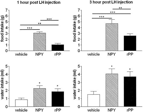 Orexin Neurons Express A Functional Pancreatic Polypeptide Y4 Receptor