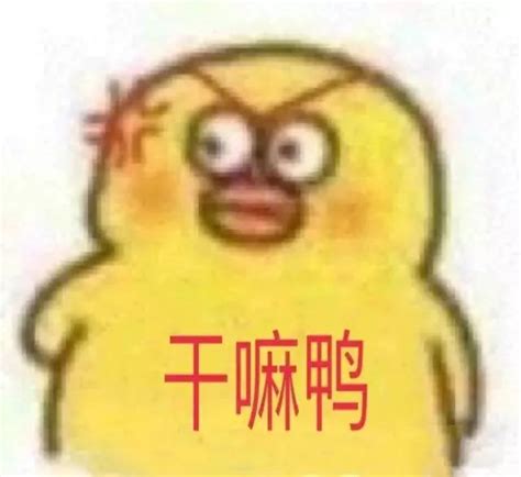 适合撒娇的鸭鸭表情包：今天也要开心鸭！图文