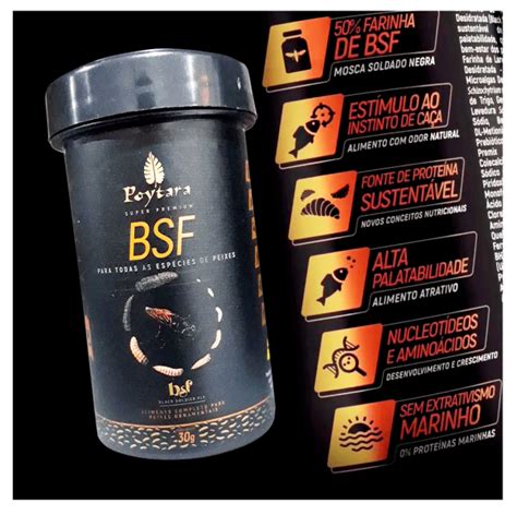 Poytara Crisps Bsf Black Line Soldier Fly Larva Da Mosca Soldado Negra