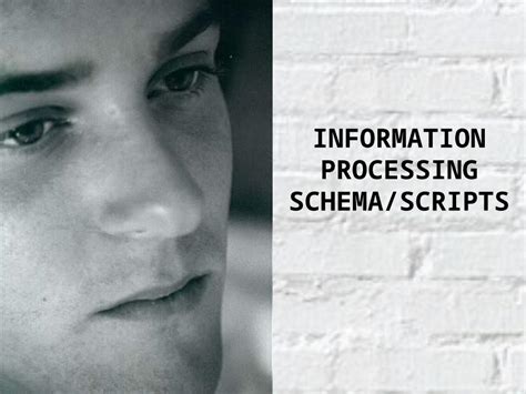 Ppt Information Processing Schemascripts Schema Definition ã 1 Abstract Or Generic