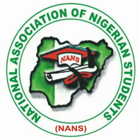 Nans Denies Involvement In Planned Nnamdi Kanu Protest