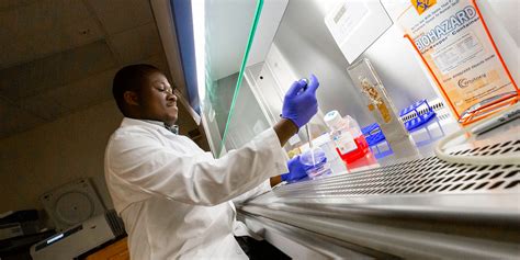 Research Veterinary Medicine At Illinois