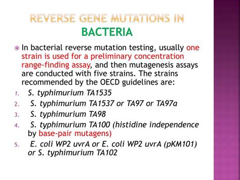Ppt In Vitro Genetic Toxicity Testing Powerpoint Presentation Id