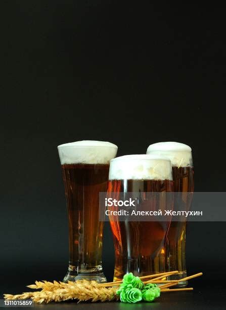 밝은 맥주와 거품이있는 다른 모양의 세 잔 검은 배경 보리와 홉 과일의 귀 근처 맥아에 대한 스톡 사진 및 기타 이미지 맥아