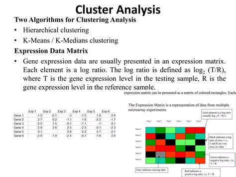 Dna Microarray Final Ppt Pptx