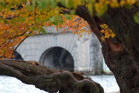 Tidal Basin Bridge