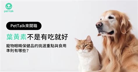 【pettalk來開箱】葉黃素不是有吃就好，寵物眼睛保健品的挑選重點與食用準則有哪些？｜專業獸醫—程若芷 Pettalk：說寵物