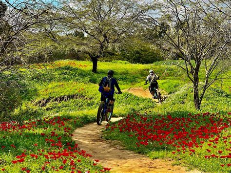 מבצע יואב זכרון ותקווה