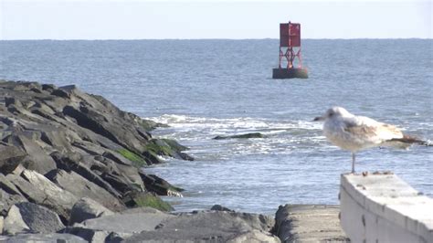 Environmental Groups Sue Federal Government Over Seismic Surveying 47abc