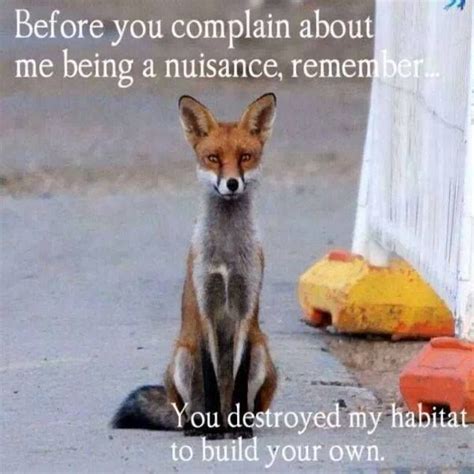 Selective Compassion Animal Quotes Animals Animals Beautiful