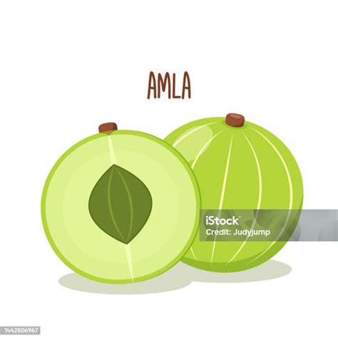 인도 구스베리 과일 또는 Amla 는 흰색 배경에 과일 벡터 아이콘 그림을 제공합니다 인도 구즈 베리 암라 열매 및 암라 0명에