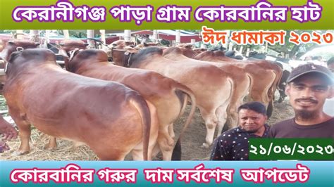 ২১সে জুন ২০২৩ কেরানীগঞ্জ পাড়াগ্রাম হাটে কোরবানির গরুর দাম সর্বশেষ