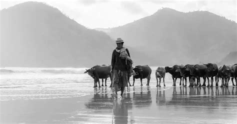 Farmer Commits Suicide Again Reliance On Contract Farming Gdrivelinks