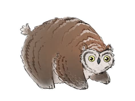Dnd Owlbear Dnd Art Concept Art Characters Cute Drawings