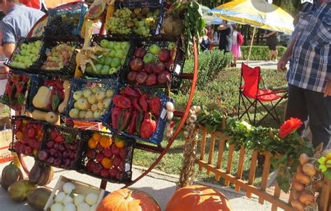 Плодородието на добруджанската земя представи празник в Шабла снимки Про Нюз Добрич