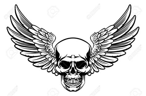 Skull Drawings With Wings