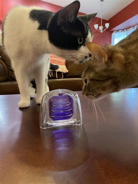 Sentry Behavior Portable Calming Diffuser For Cats