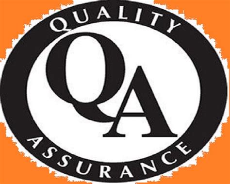 Do Qa Tests On Your Website Api And Report Bugs By Dmthakrar Fiverr