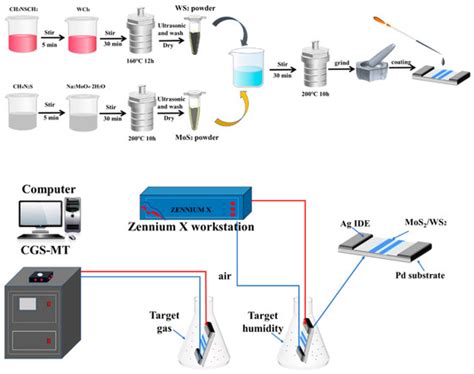 Highly Selective Nh3 Sensor Based On Mos2ws2 Heterojunction