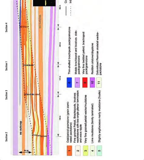 Schematic Cross Section Through The Measured Sections The Detailed
