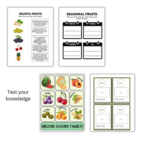 Fruits Unit Study Digital Bakerie Shop