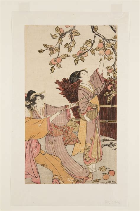 Gathering Persimmons By Kitagawa Utamaro Fine Art Print