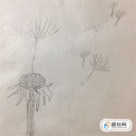 在空中的落花简笔画 落花花瓣飘落简笔画 桃花落花的简笔画 大山谷图库