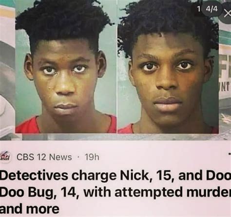 Doo Doo Bug Really Funny Pictures Funny Laugh Really Funny