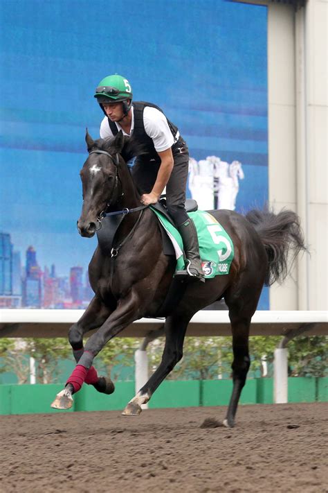 浪琴表香港國際賽事週三晨操圖輯 賽馬新聞 香港賽馬會
