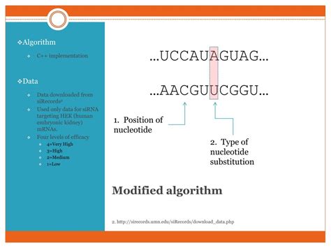 Ppt Levenshtein Distance And Sirna Powerpoint Presentation Free