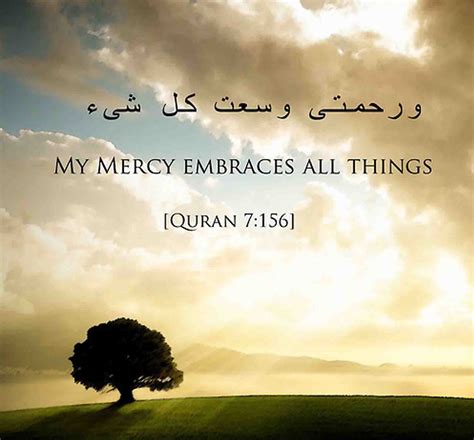 Quran Quotes About Peace Quotesgram
