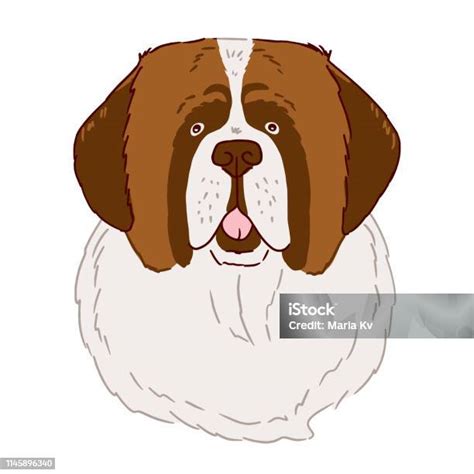 흰색 바탕에 세인트 버나드 강아지의 초상화입니다 간단한 스타일의 벡터 일러스트 레이 션 손으로 그린 가축에 대한 스톡 벡터 아트